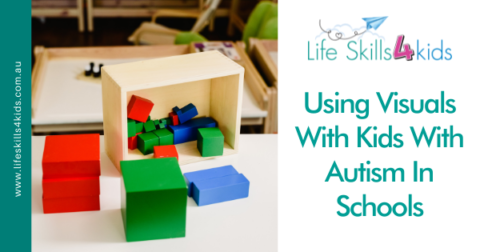 Using Visuals With Kids With Autism In Schools | Life Skills 4 Kids
